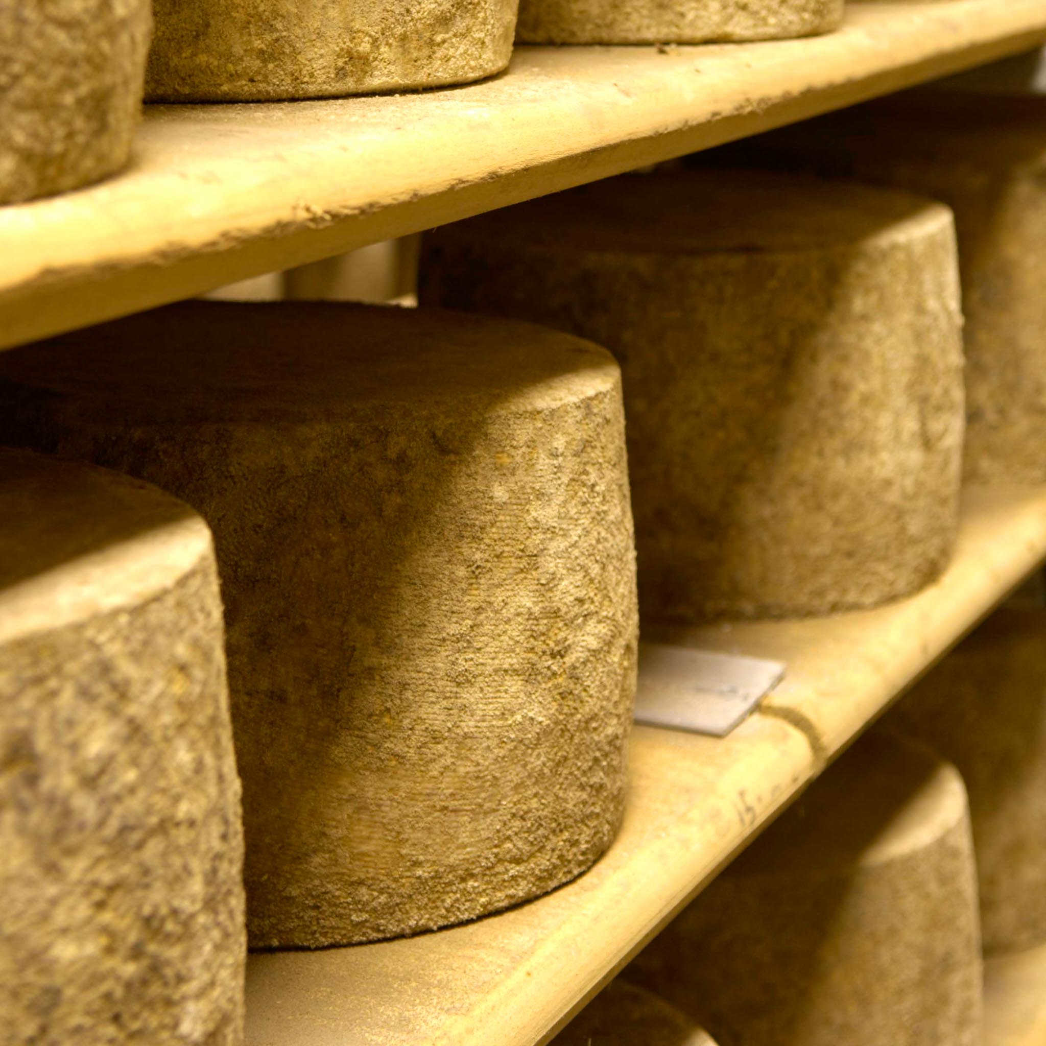 Lincolnshire Poacher 20kg